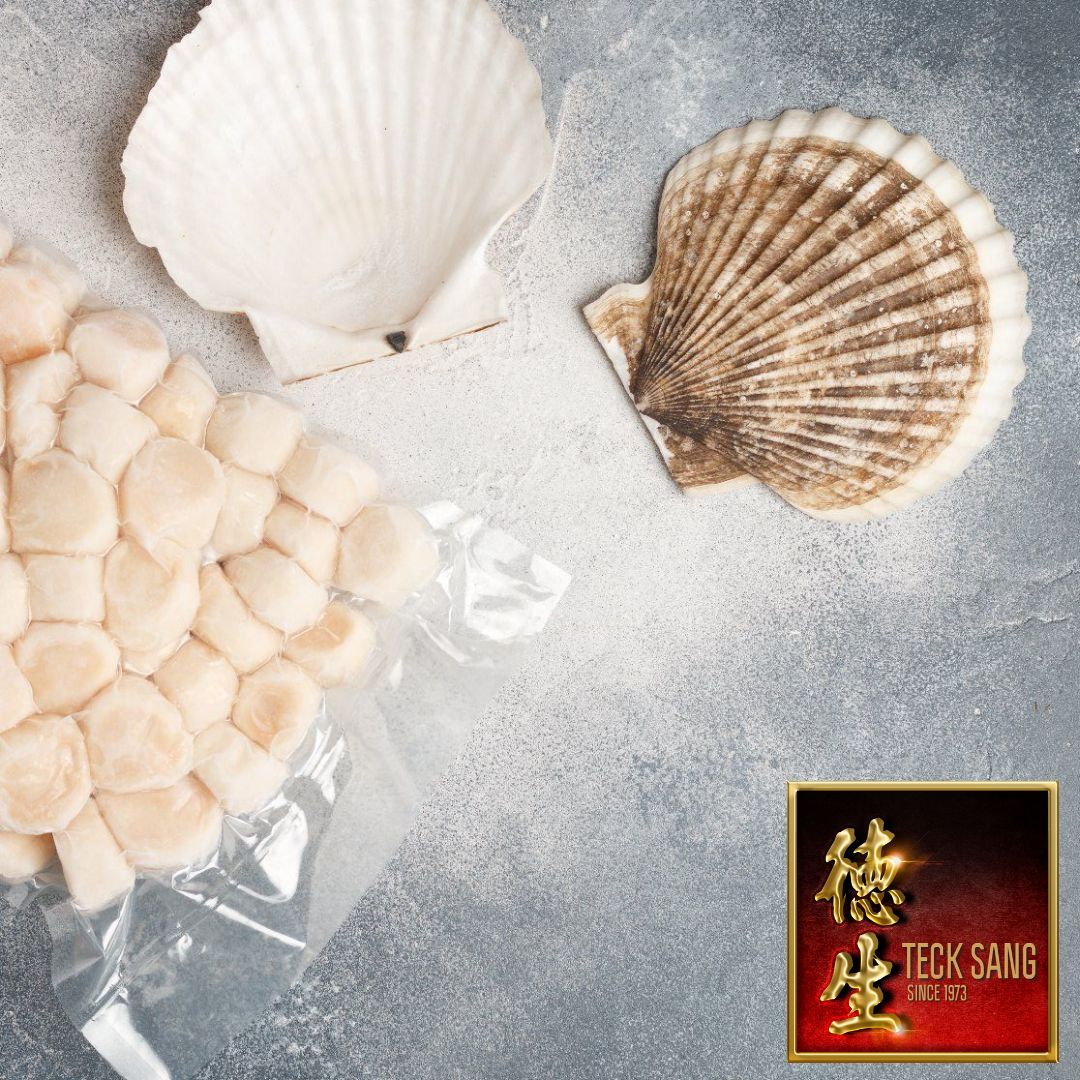 Best Frozen Scallop Selection and Cooking Tips – TeckSang Store